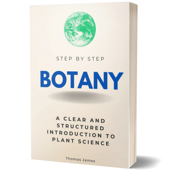 Botany Step by Step: A Clear and Structured Introduction to Plant Scie ...