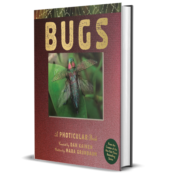 Bugs: A Photicular Book ²⁵ - BIOWEB Brasil