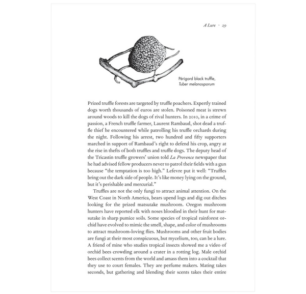 Entangled Life: How Fungi Make Our Worlds, Change Our Minds & Shape Ou ...