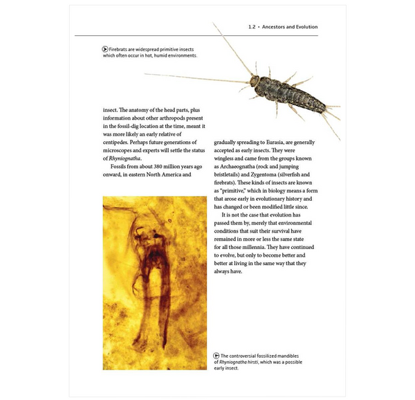 How Insects Work: An Illustrated Guide to the Wonders of Form and Func ...