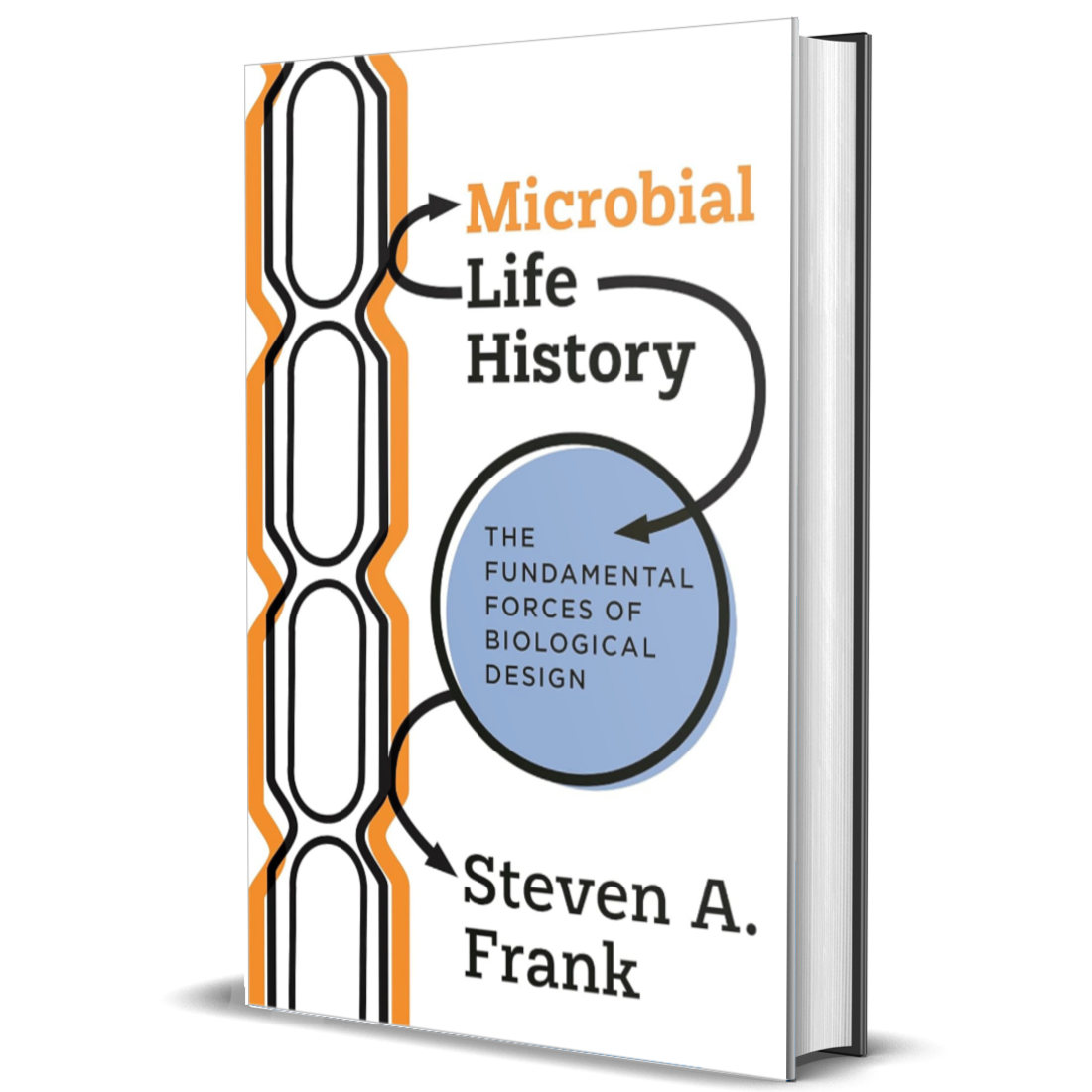 Microbial Life History: The Fundamental Forces of Biological Design - BIOWEB Brasil