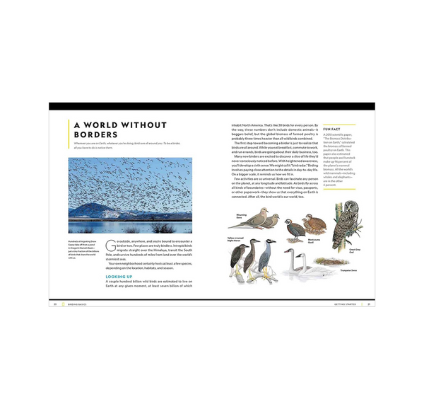 National Geographic Birding Basics: Tips, Tools, and Techniques for Gr ...