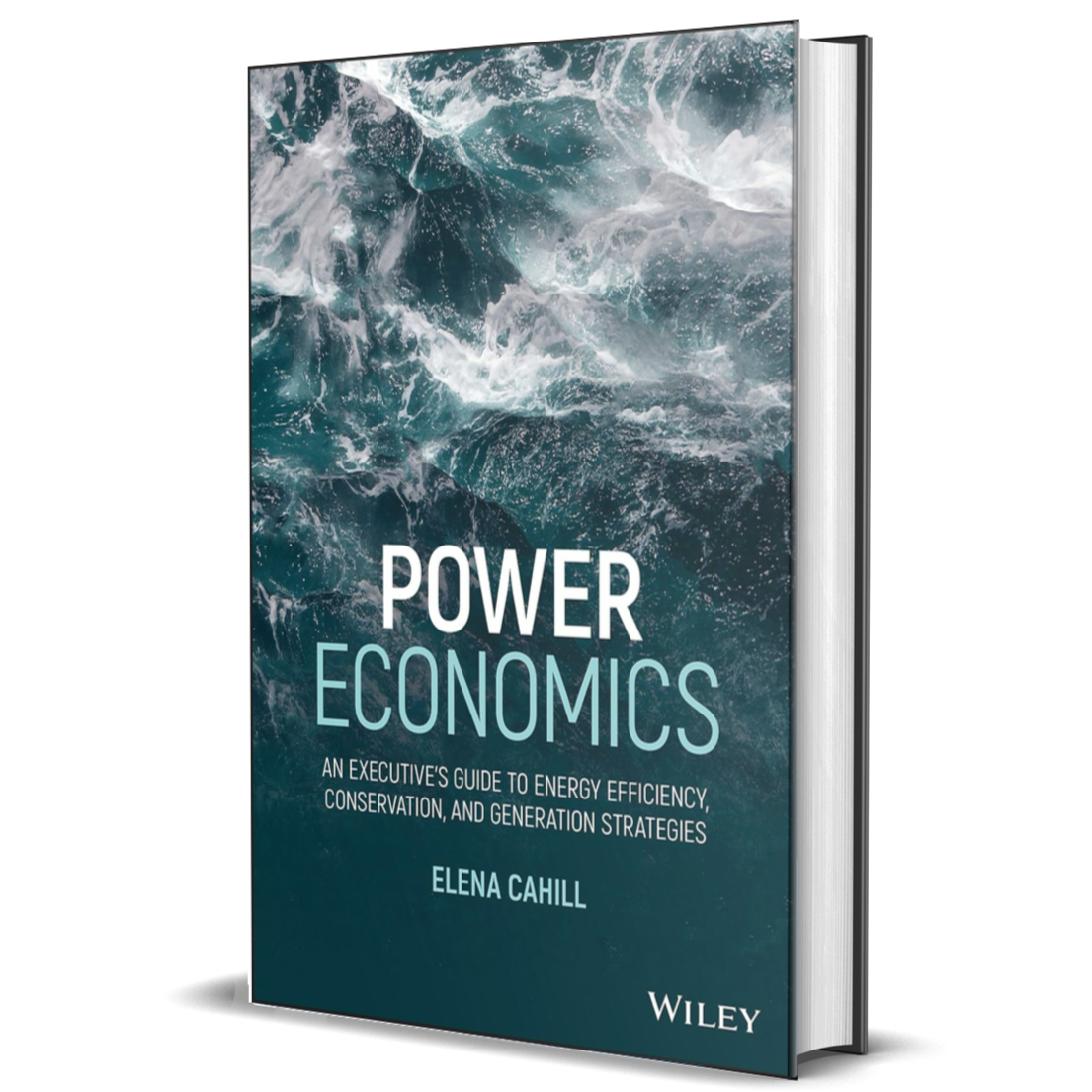 Power Economics: An Executive's Guide to Energy Efficiency, Conservati ...