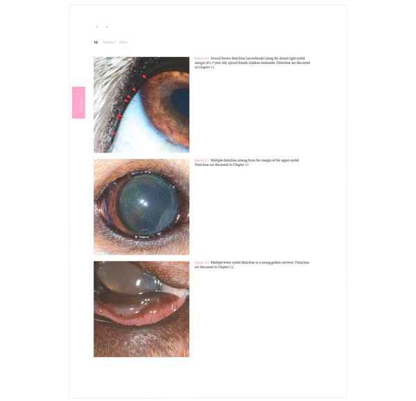 Small Animal Ophthalmic Atlas and Guide - BIOWEB Brasil