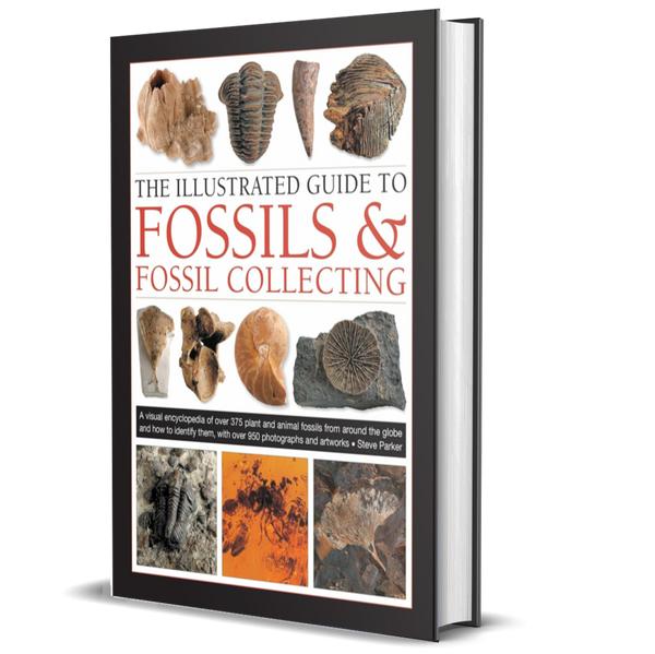 The Illustrated Guide to Fossils & Fossil Collecting: A Reference Guid ...