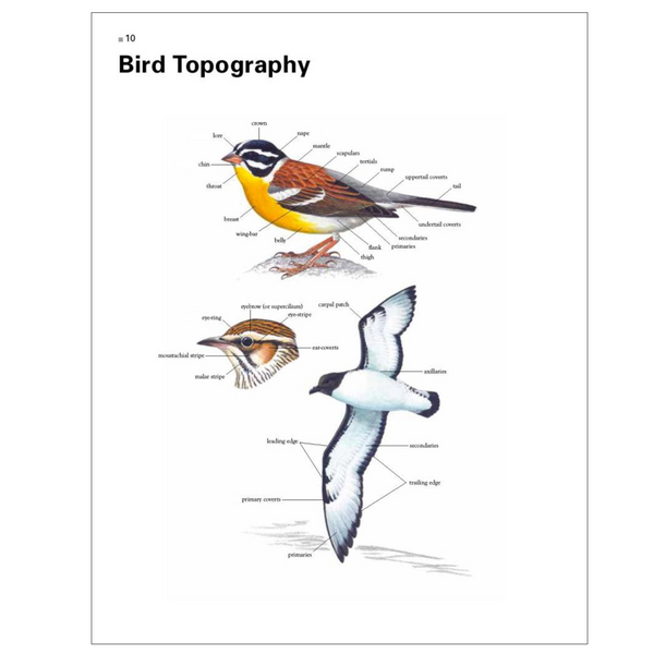 The Complete Birds of the World: Every Species Illustrated - BIOWEB Brasil